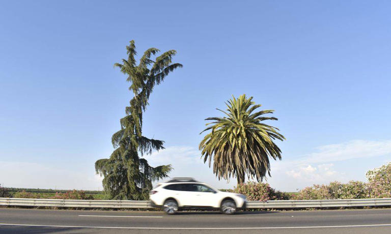 Highway 99's Palm and Pine markers to be moved for road project. What's ...