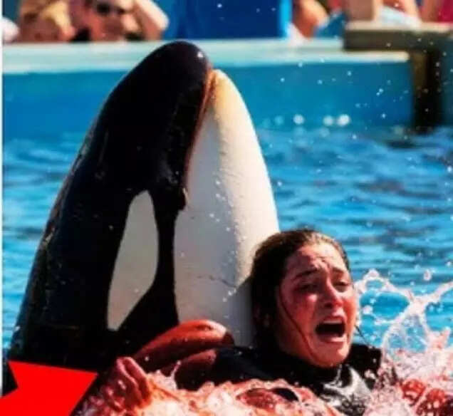 Who is marine trainer Jessica Radcliffe? Here's a fact check on a viral ...