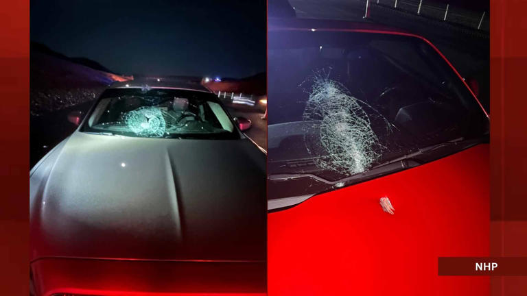 Nevada State Police investigating rock throwing incidents after serious ...