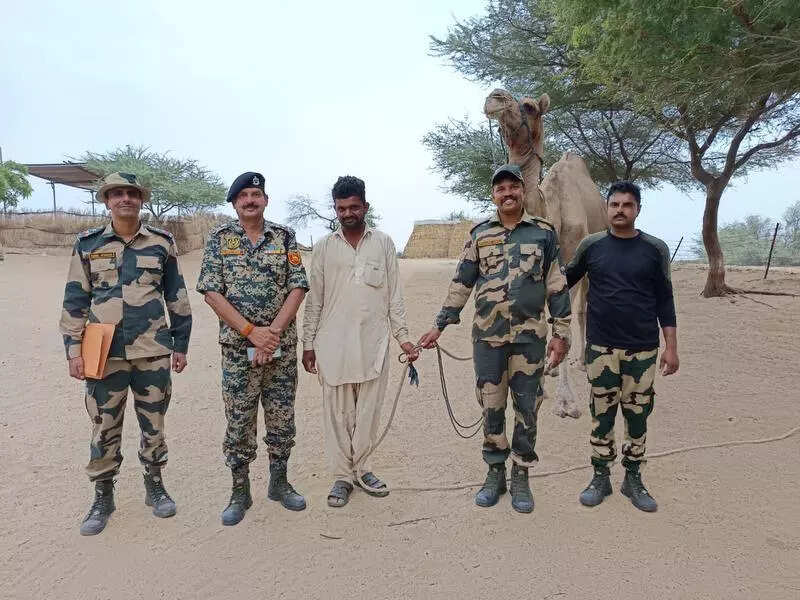 BSF’s camel retirement initiative breathes new life into Raj’s desert icons