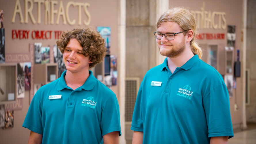 UB's Externship Experience helping students discover careers close to home