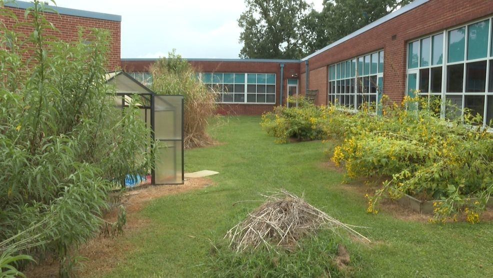 Andrew Johnson Elementary receives grants to revitalize school garden