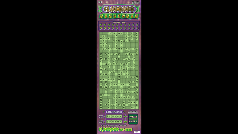 Second North Texan wins $1 million in Texas Lottery scratch-ticket game