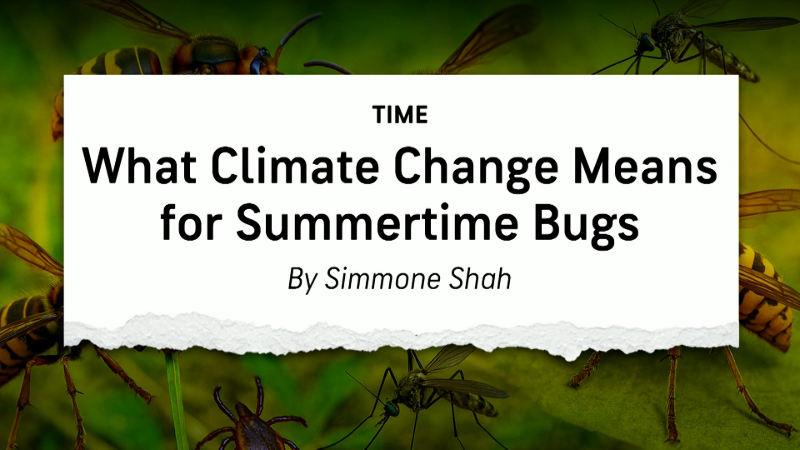What climate change means for summertime bugs