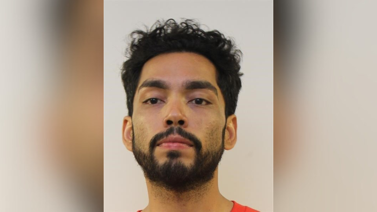 Man fatally stabs 69-year-old after attempting to steal a car from his ...