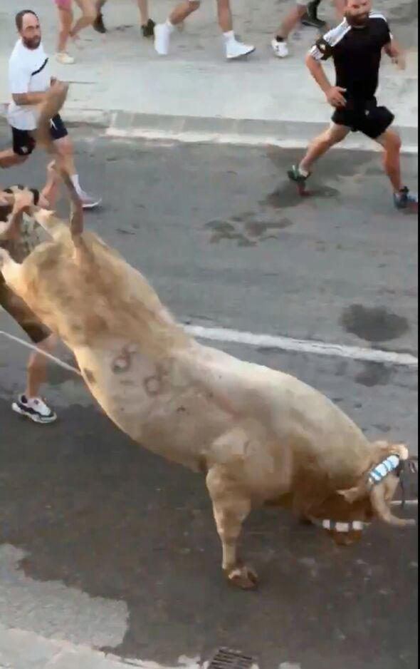 Bull violently kicks man in head after he slapped its rear at Spanish ...