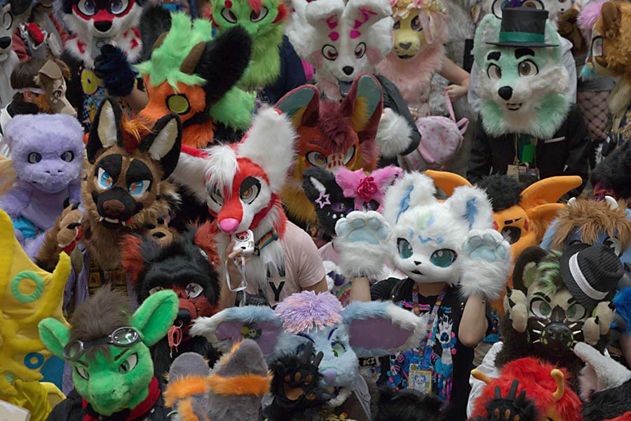 Furries raise over $36,000 for Utah pet rescue