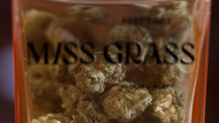 Trump "looking at reclassification" of marijuana as less dangerous drug