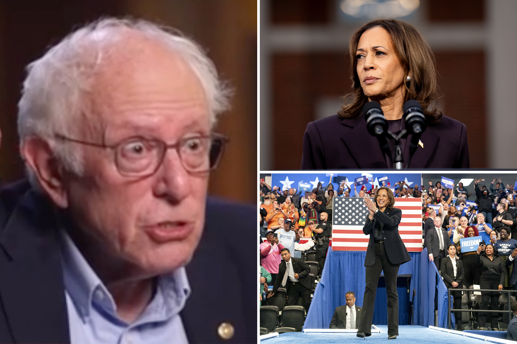 Bernie Sanders tears into Kamala Harris 2024 campaign: ‘Heavily ...