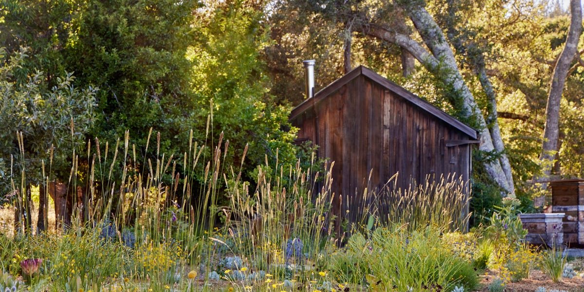 Landscape Designers Are Using These Plants—And You Should Too