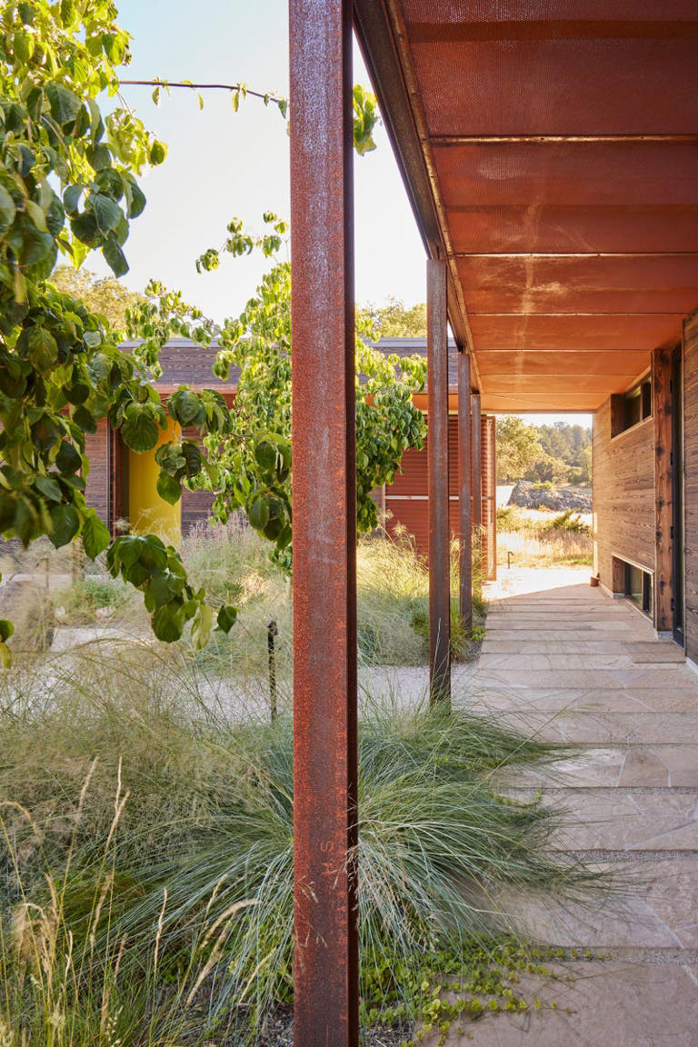 Landscape Designers Are Using These Plants—And You Should Too