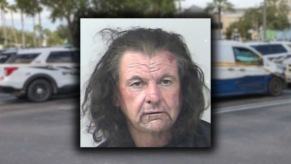 Woman escapes alleged kidnapper at PSL Publix; suspect tased, arrested ...