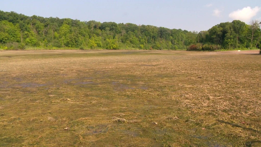 "Mechanical issue" unexpectedly drains one of Minnesota's 10,000 lakes ...