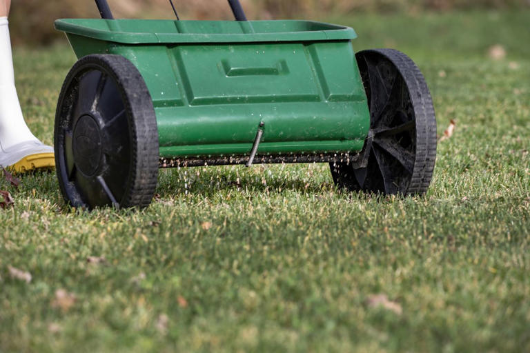 The Best Time to Seed Your Lawn Might Be in the Fall