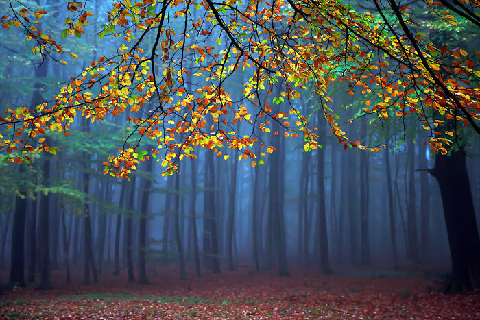 My 30 Fairytale-Like Pics Show The Beauty And Magic Of The Wild World