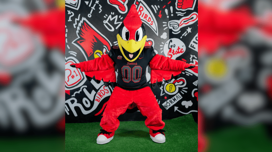 CI Votes: Do you like Reggie Redbird’s new look?