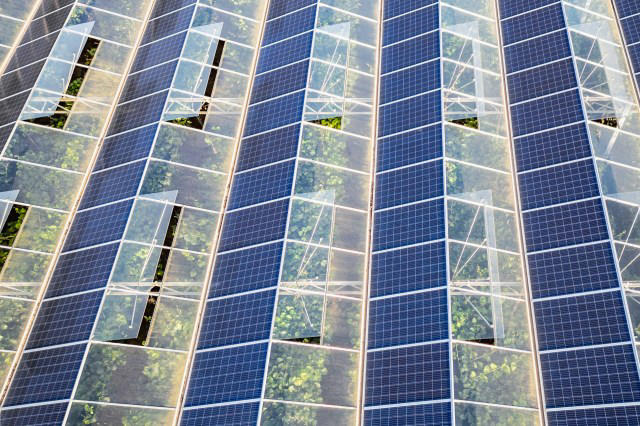 Farmers implement game-changing energy system to protect crops while ...