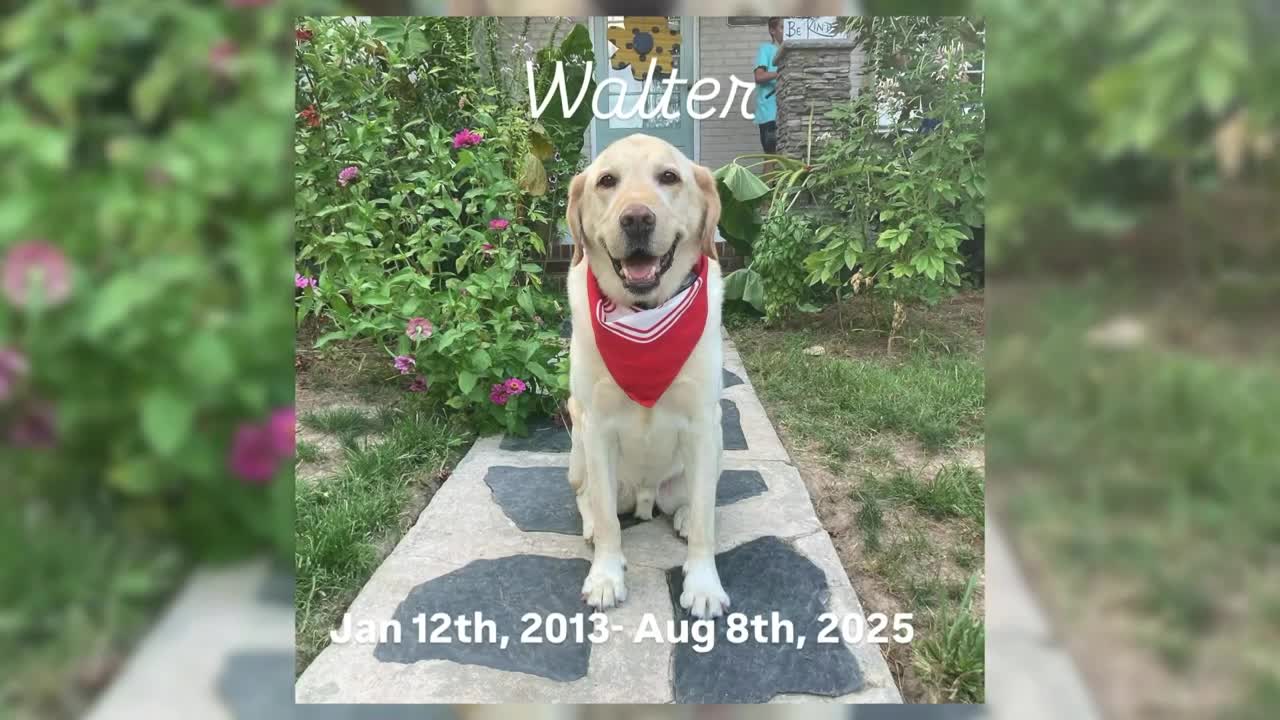 Walter the Weather Dog has died
