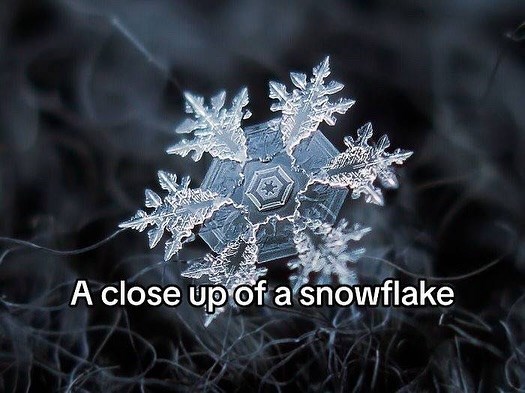 22 Photos Where Everything Lined Up Perfectly