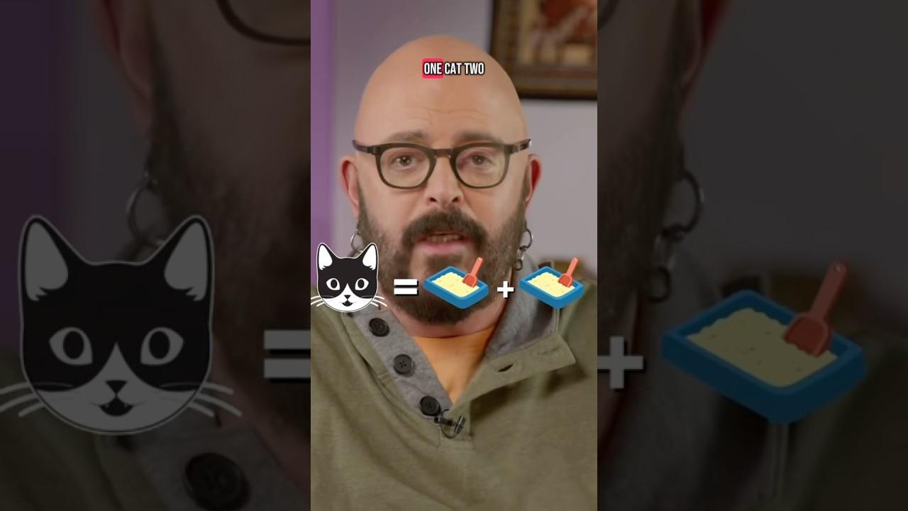 If You Have A Cat, Follow This Litter Box, Golden Rule! #cats #cattips ...