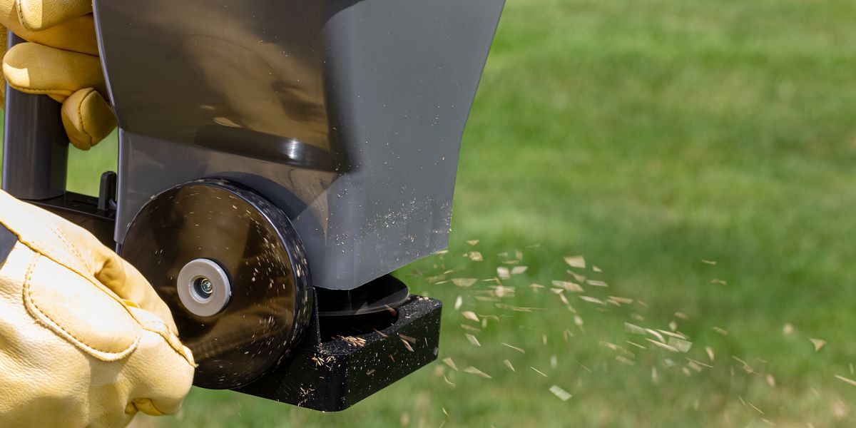 The Best Time to Seed Your Lawn Might Be in the Fall
