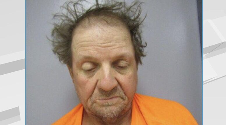 Man arrested in Wadena County after leading authorities on chase