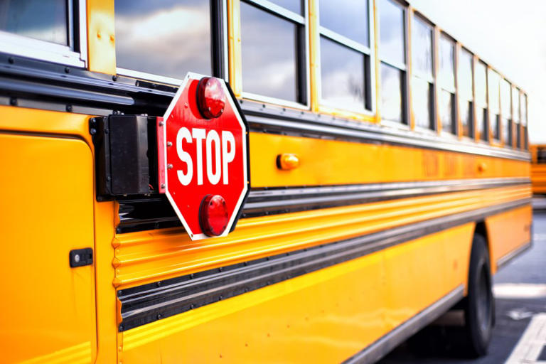 School bus safety checklist