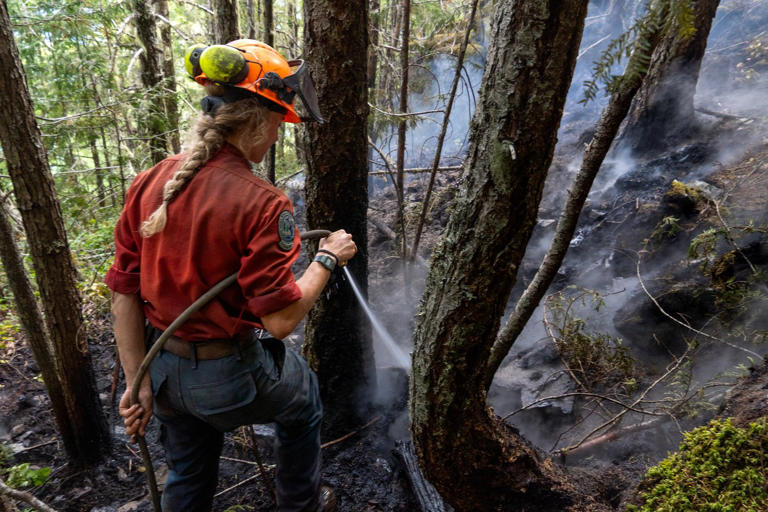 Hundreds can go home as Vancouver Island fire 'held,' 37 properties ...