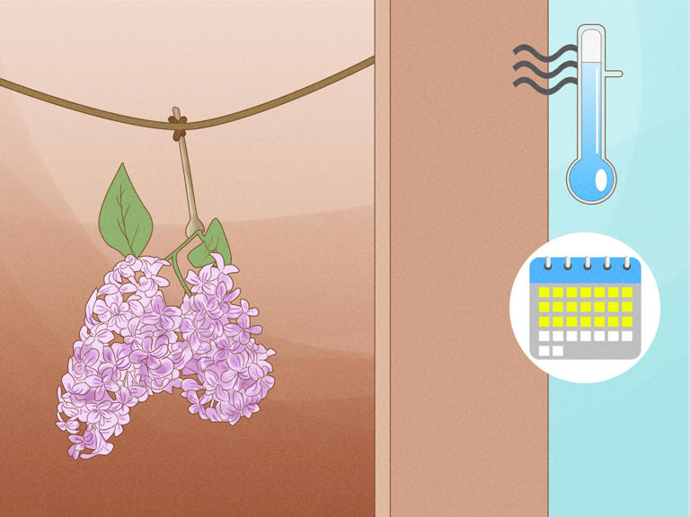 Reproducción de plantas: métodos, ejemplos y factores clave