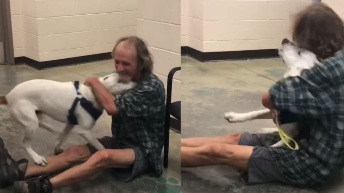 Homeless man overjoyed as he reunites with beloved missing dog (video)