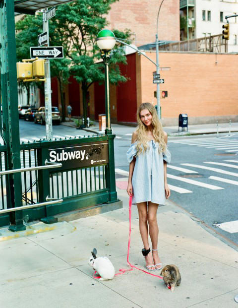 Rabbits used in Anna Delvey photoshoot dumped in Prospect Park ...