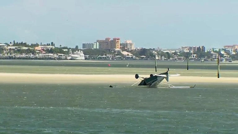 Small plane crashes in Volusia County near Ponce Inlet; pilot uninjured