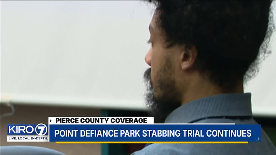 VIDEO: Point Defiance park stabbing trial continues