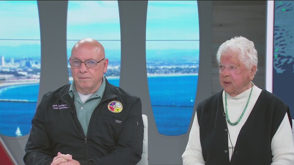 New skin cancer detection device provides instant results