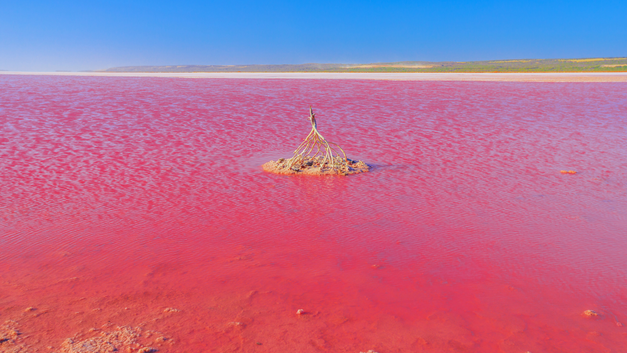 5 stunning pink lakes in Australia that look too good to be true