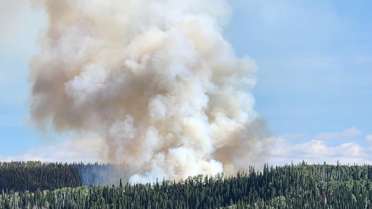Crosho Fire 81% contained