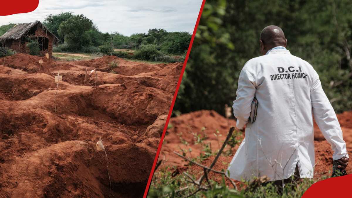 Kilifi: Govt on the spot as fear grows of new cult after discovery of ...