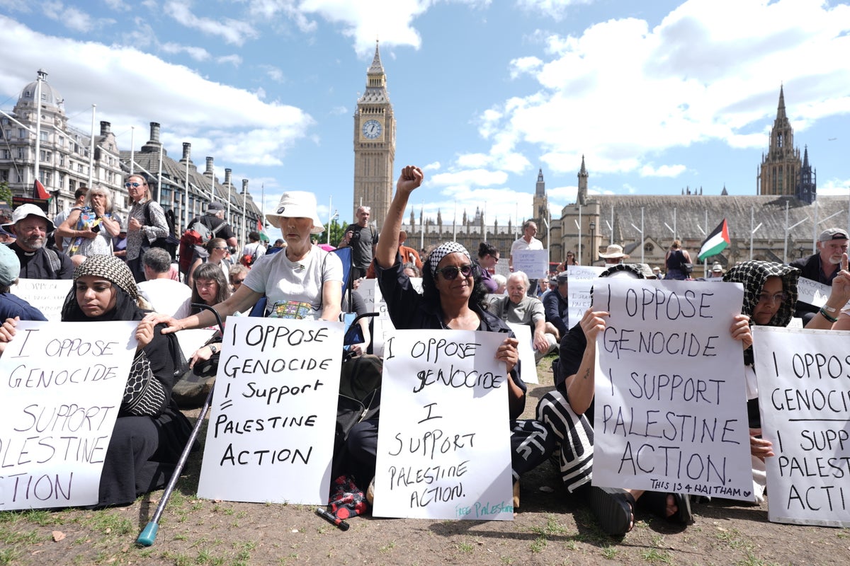 Voices: Palestine Action demonstrators should not be prosecuted for ...