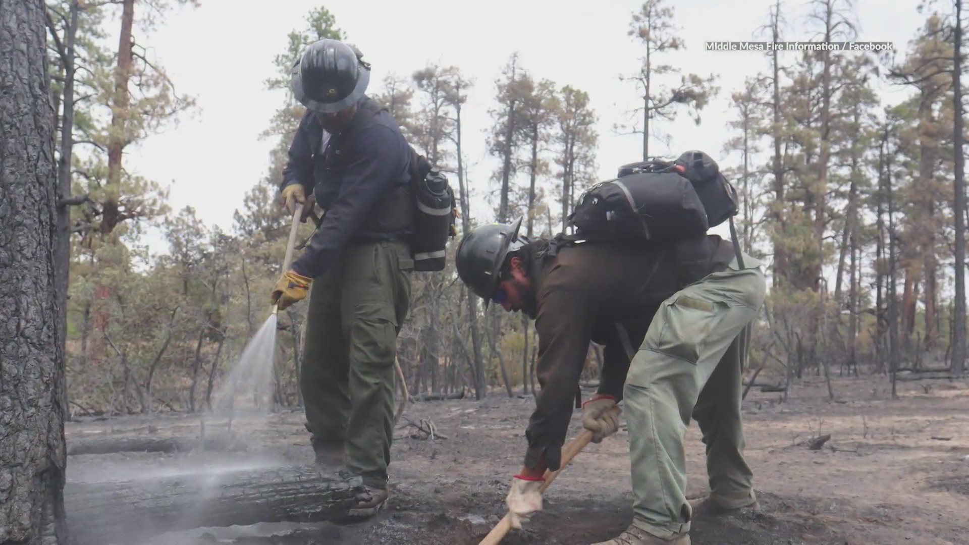 Middle Mesa Fire burning in Carson National Forest