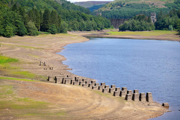 England faces ‘significant’ water shortfalls amid heatwave warnings