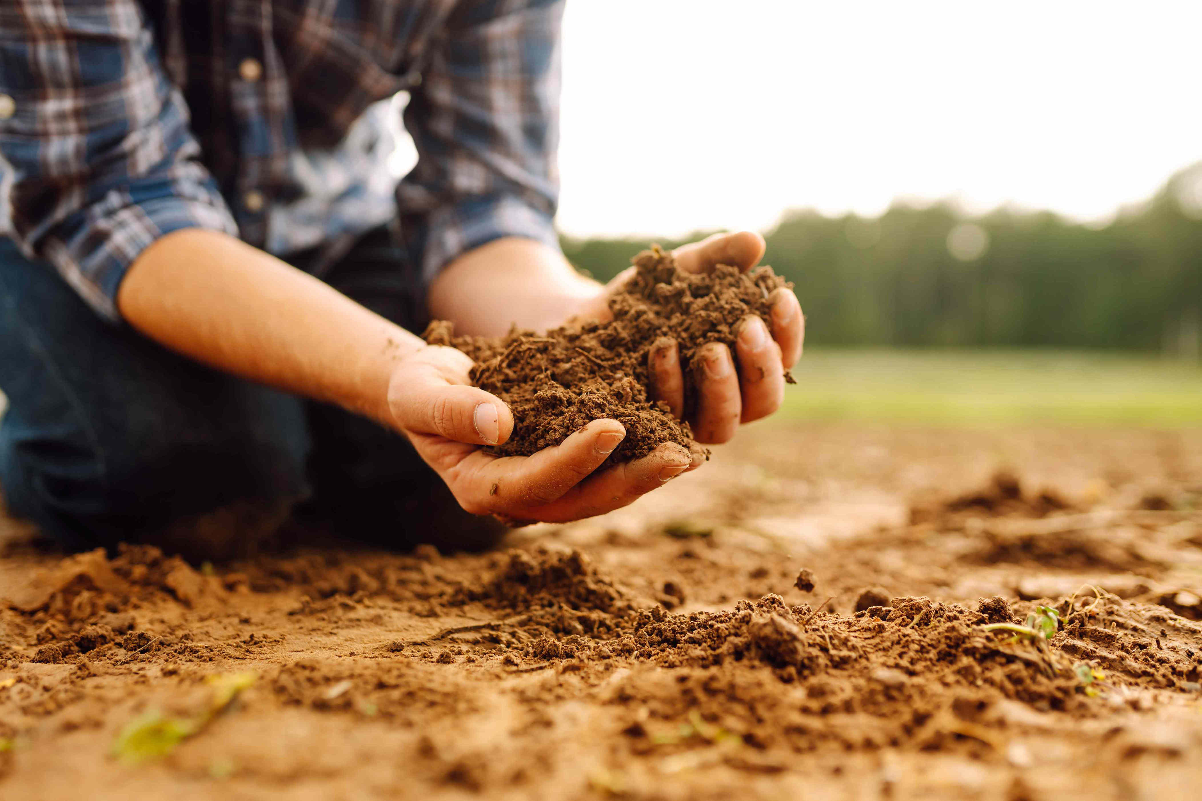 5 Simple Amendments That Turn Heavy Clay Soil into Perfect Loam