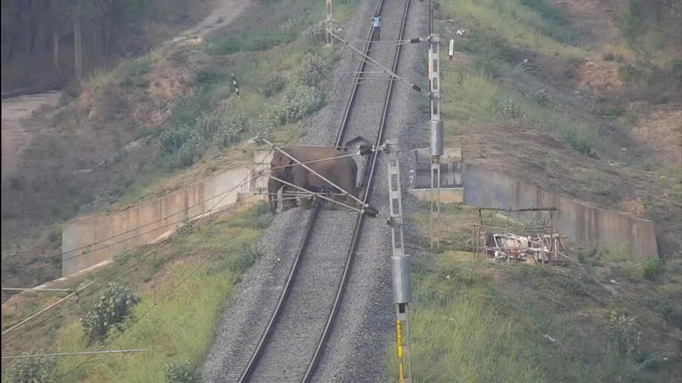 AI-based warning systems facilitated 2,500 safe elephant crossings in ...
