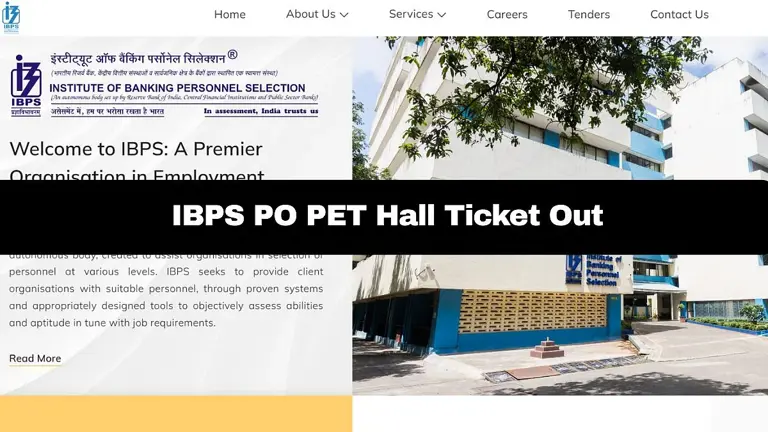 IBPS PO PET Hall Ticket 2025 Out; Here’s How To Download