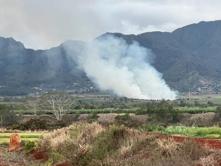 Drivers frustrated after brush fire flare-up forces second closure of ...