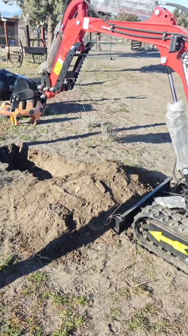 Temu Excavator for Off-Grid Homesteading