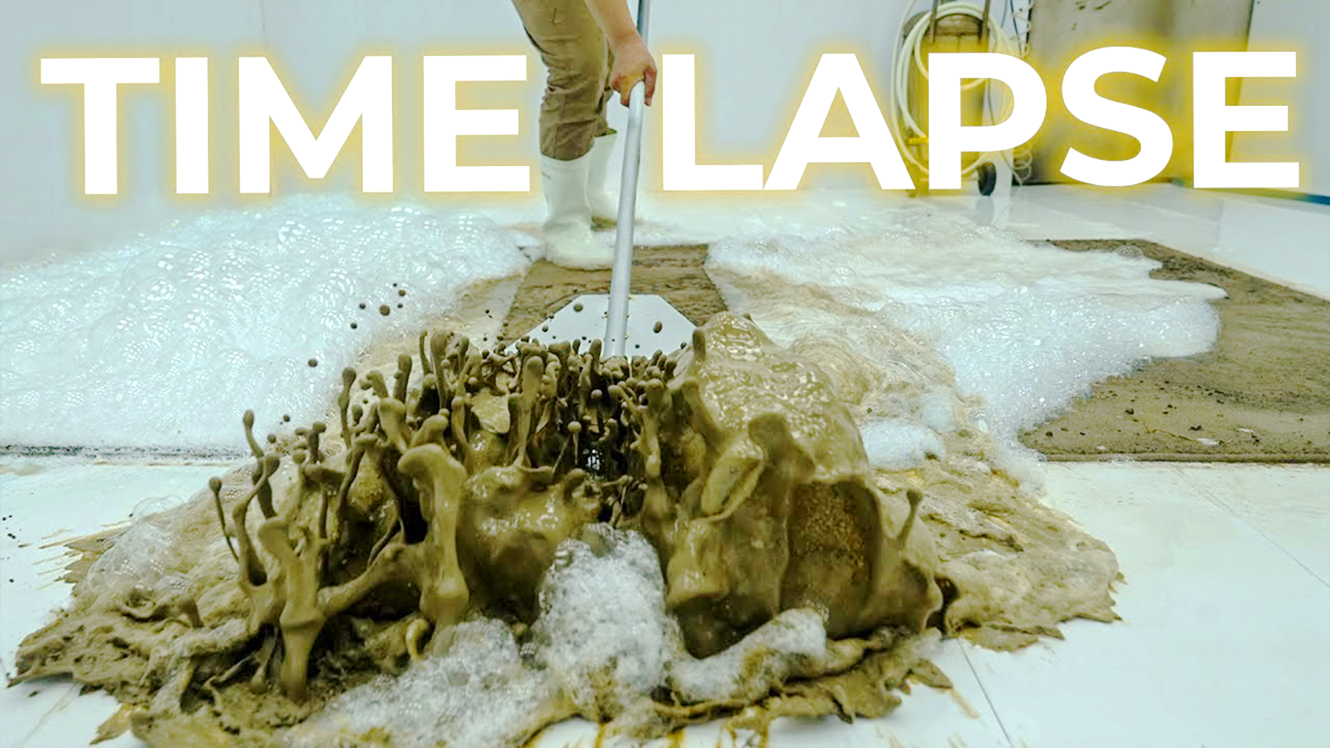 From Mud-Soaked to Fresh and Clean Again – Timelapse Video