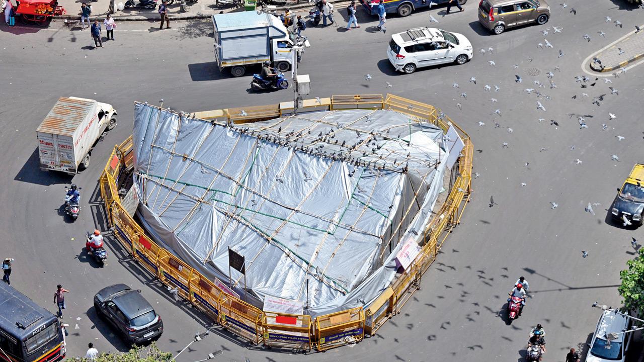 Mumbai: Dadar kabutarkhana under cover again amid civic action