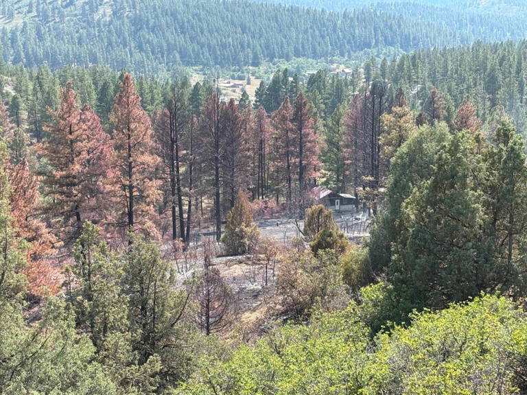 Two men arrested for arson after Oak Fire scorches 75 acres in Aspen ...