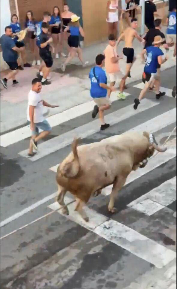 Bull violently kicks man in head after he slapped its rear at Spanish ...