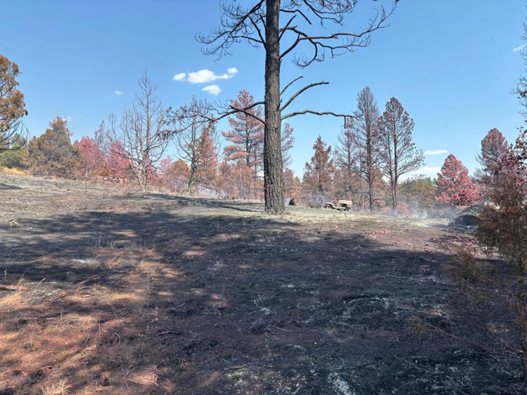 Colorado wildfires: Lee Fire now 5th largest in state history ...